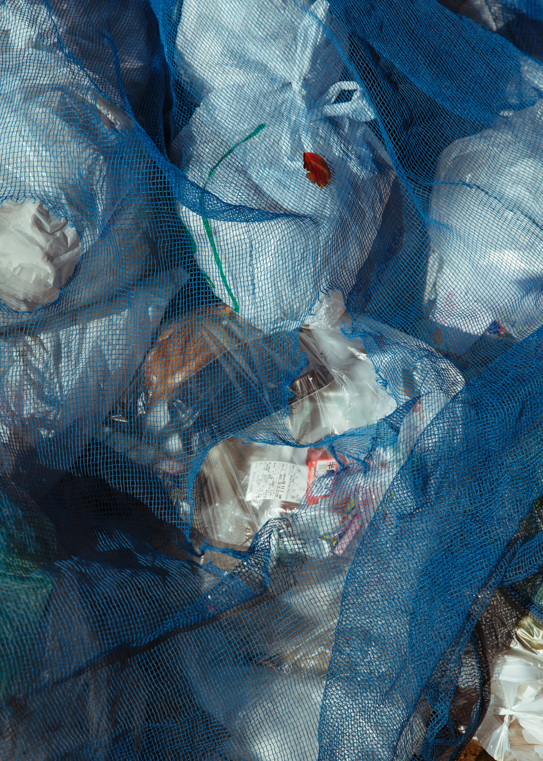 » Beautiful Garbage