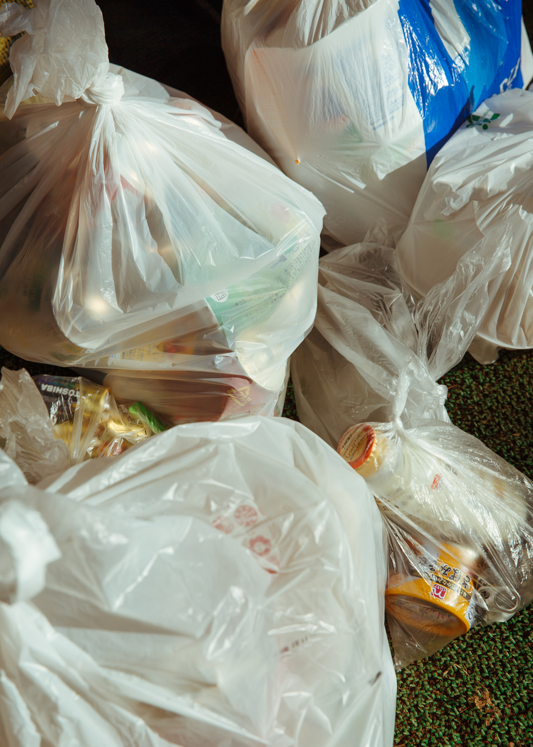 » Beautiful Garbage