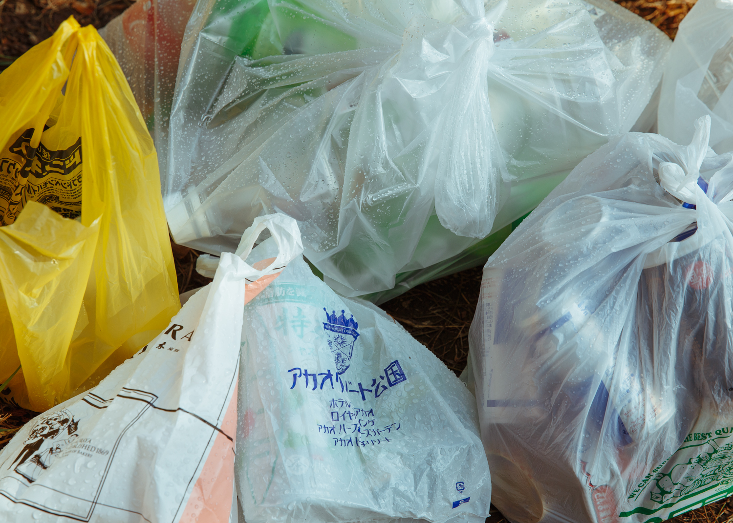 » Beautiful Garbage