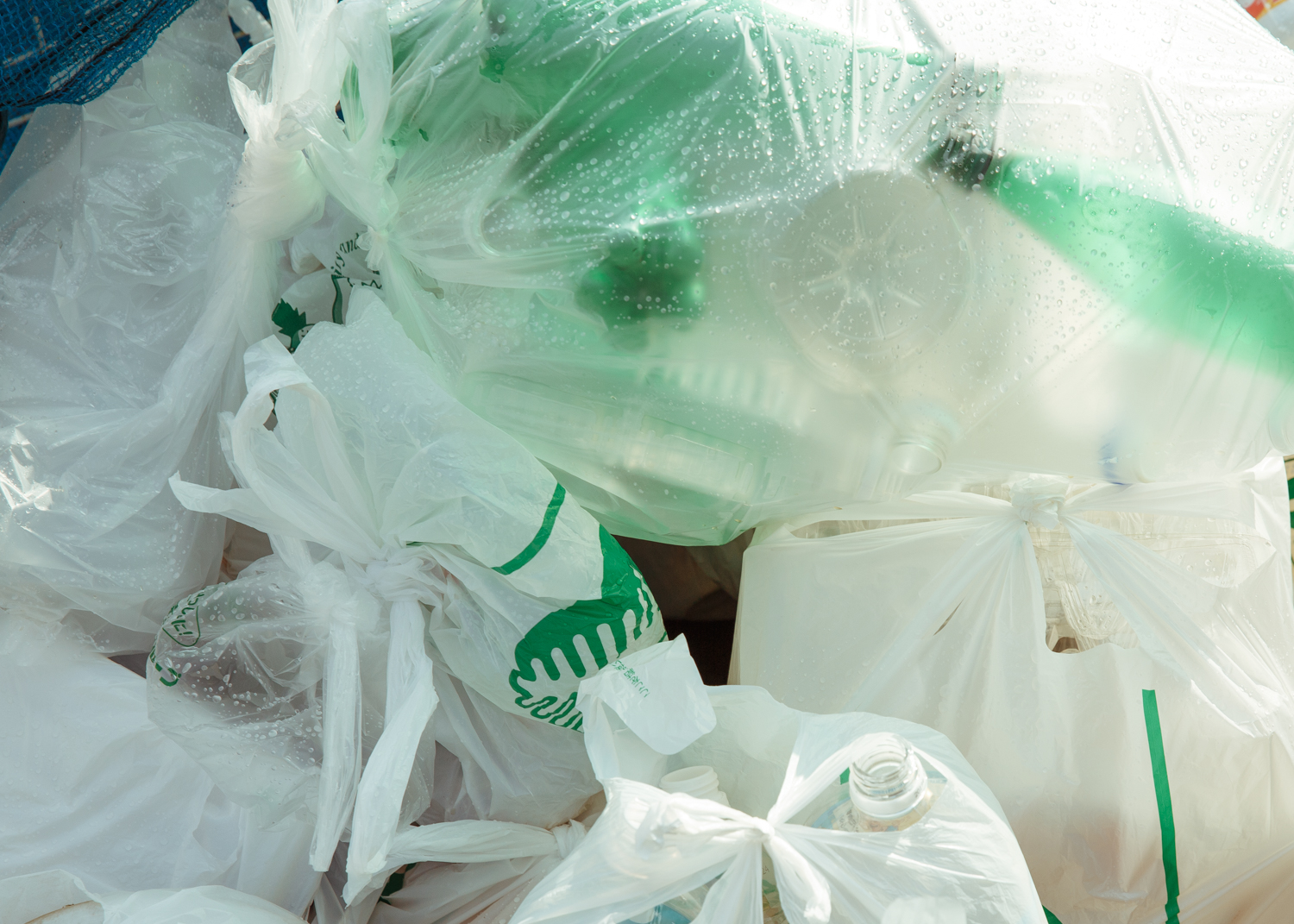 » Beautiful Garbage